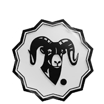 RAM Nordic AB